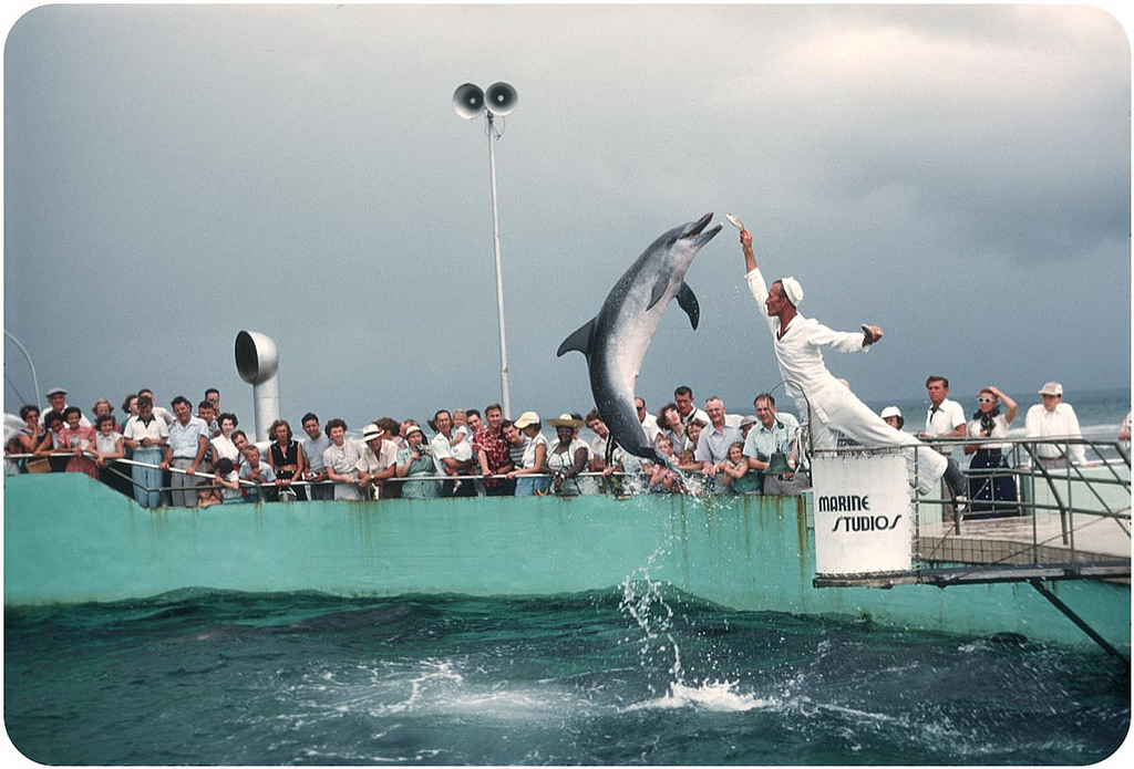 Color Photos Document Beautiful Life of Florida in the 1950s ~ Vintage ...