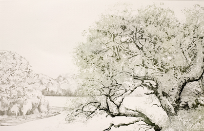 Parkfields Gallery Ross-on-Wye: Artist Printmakers set the scene