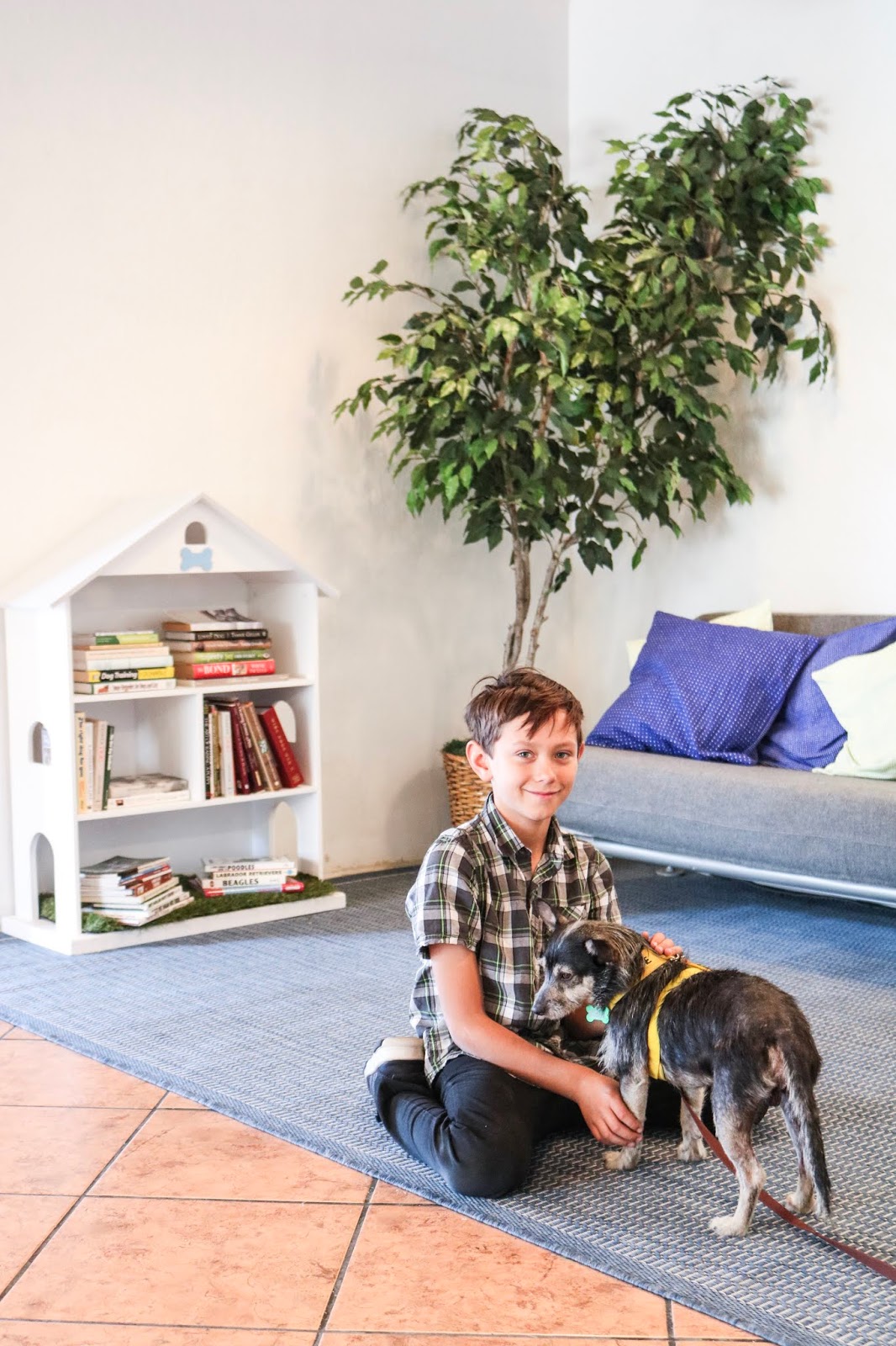 Silicon Valley Pet Project Pup Plaza Silicon Valley s First Dog Community Center Is Now Open silicon-valley-pet-project-pup-plaza-silicon-valley-s-first-dog-community-center-is-now-open