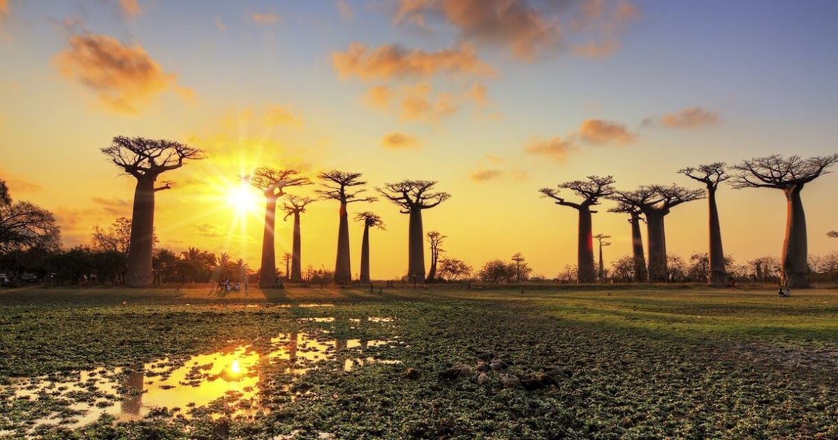 Занимљива географија: Madagaskar