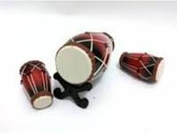 Perkusi (Pengertian, Jenis Alat Musik Perkusi dan Contohnya) - Biologizone