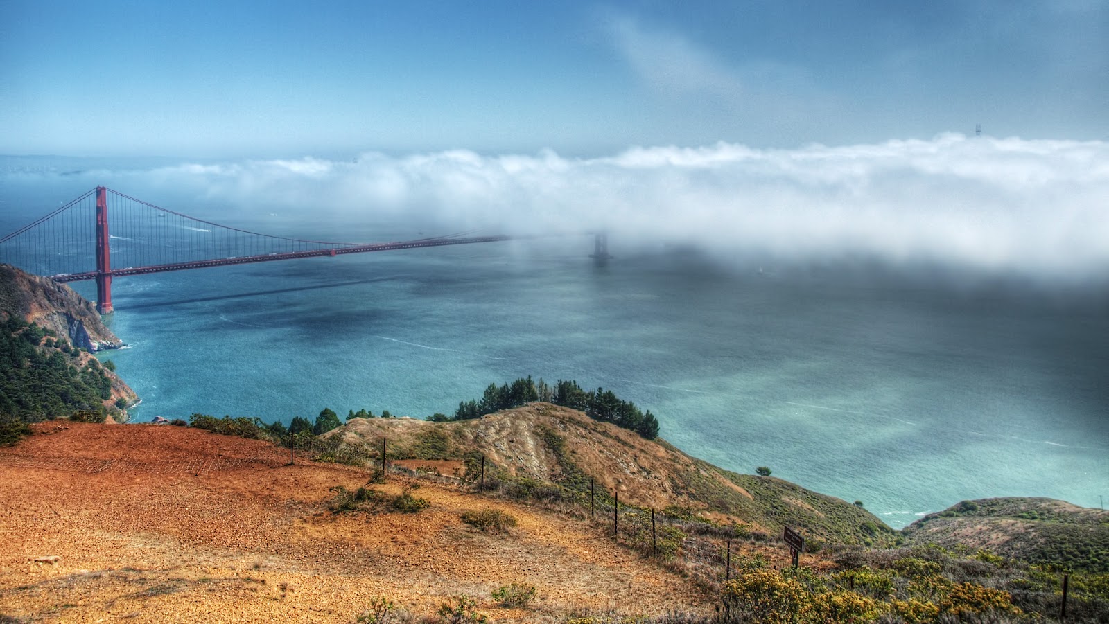 Wildbayarea.com: View From Hawk Hill During Heat Wave Vanquishment