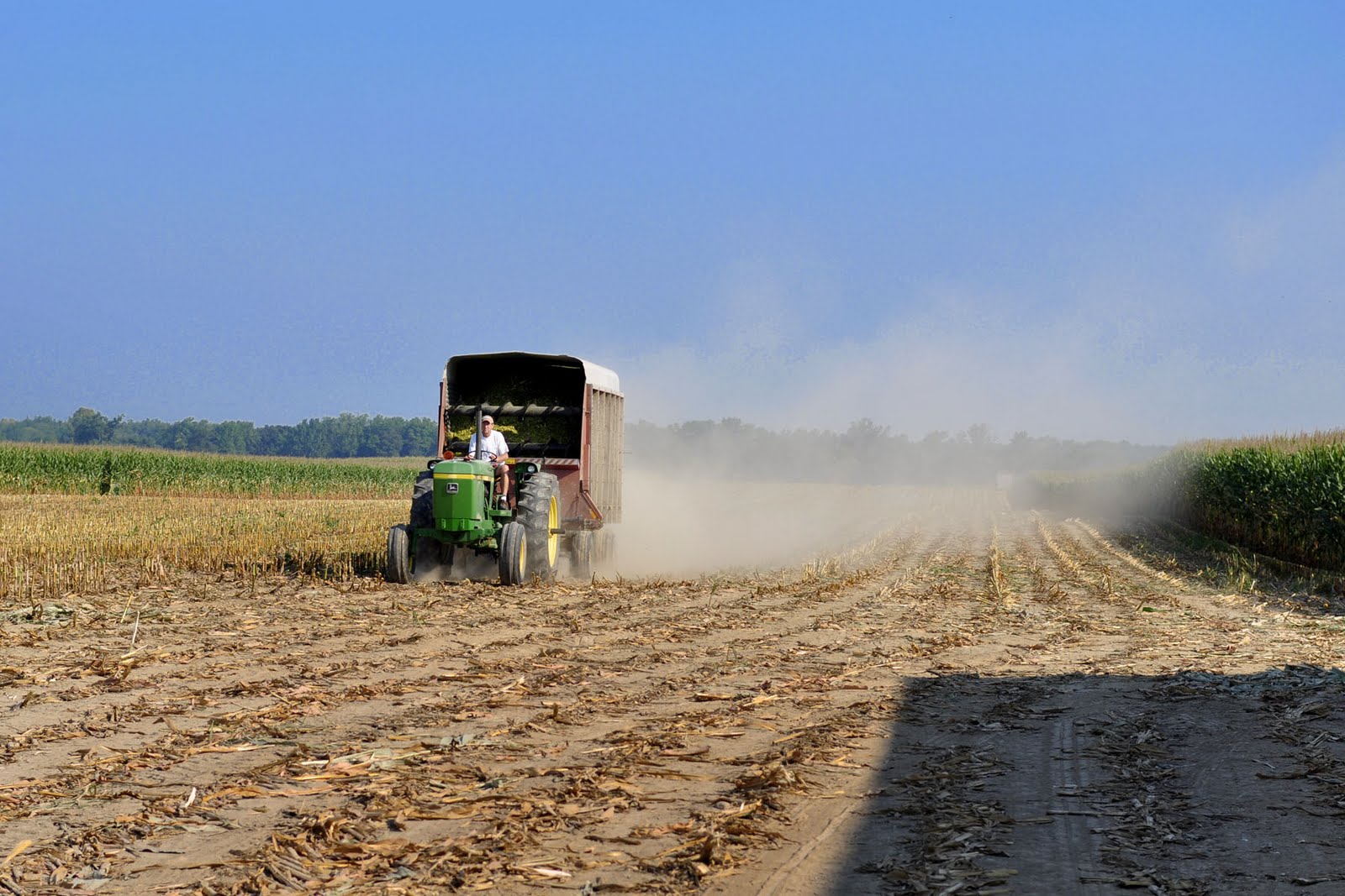 This Farm Family's Life: Chopping Silage...