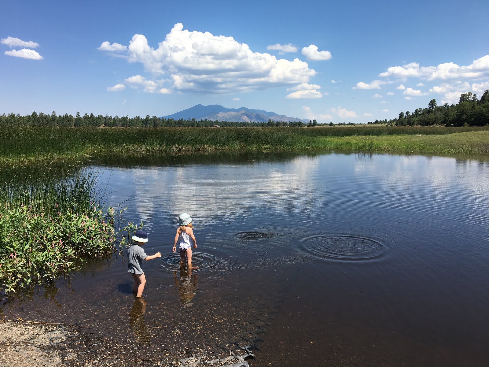 Use Less Stuff: Marshall lake