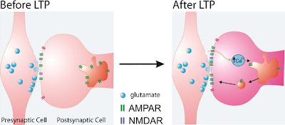 The Cellular Scale: March 2013