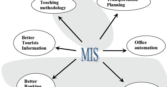 What is Management Information System- Definition & Explanation ...