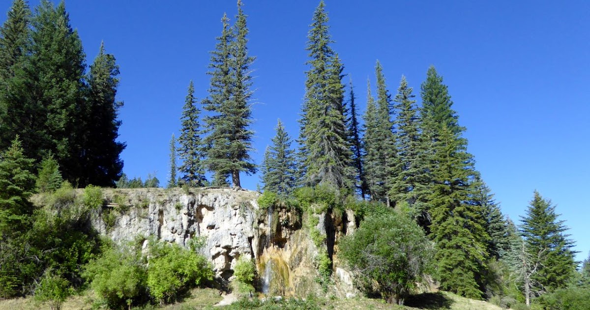 Greg's Running Adventures: Bluff Springs Lincoln National Forest