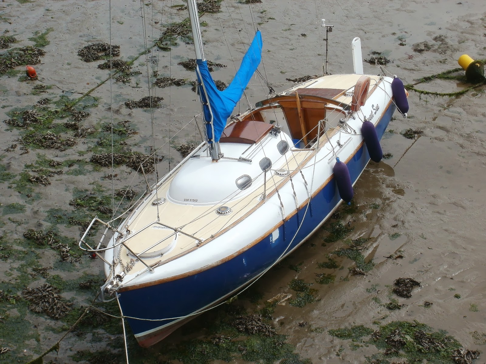 Shockwave40: Sweet Sue - Atlanta 26 - Uffa Fox design - Guernsey 2013