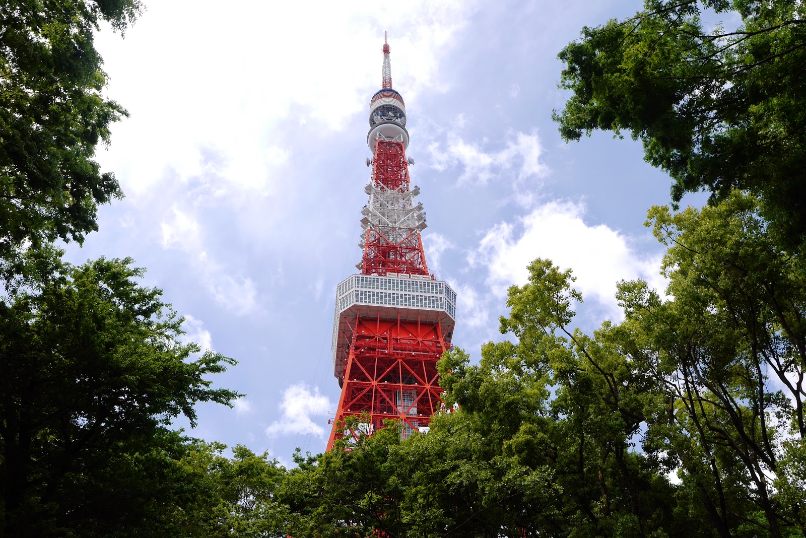 Rising Sun: Tokyo Tower Carp Streamer Display / 東京タワー鯉のぼり