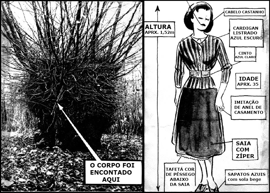 Quem pôs Bella no Olmo escocês?