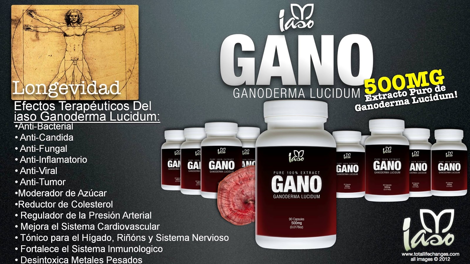 Productos TLC: agosto 2013