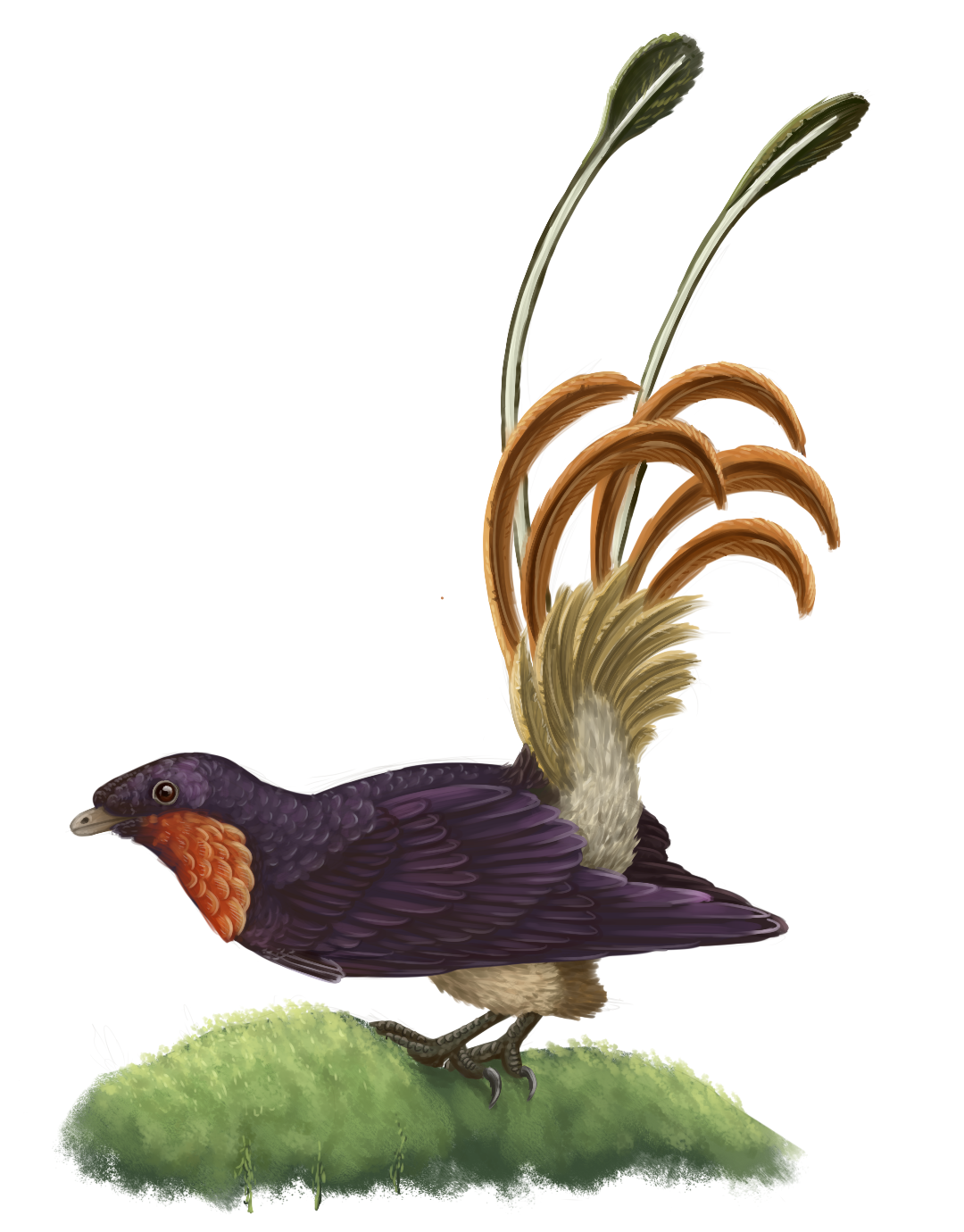 Raptormaniacs: What's the Deal with Enantiornithean Tails?