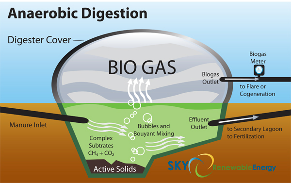 Biomassa: problema ou solução energética?: Biogás