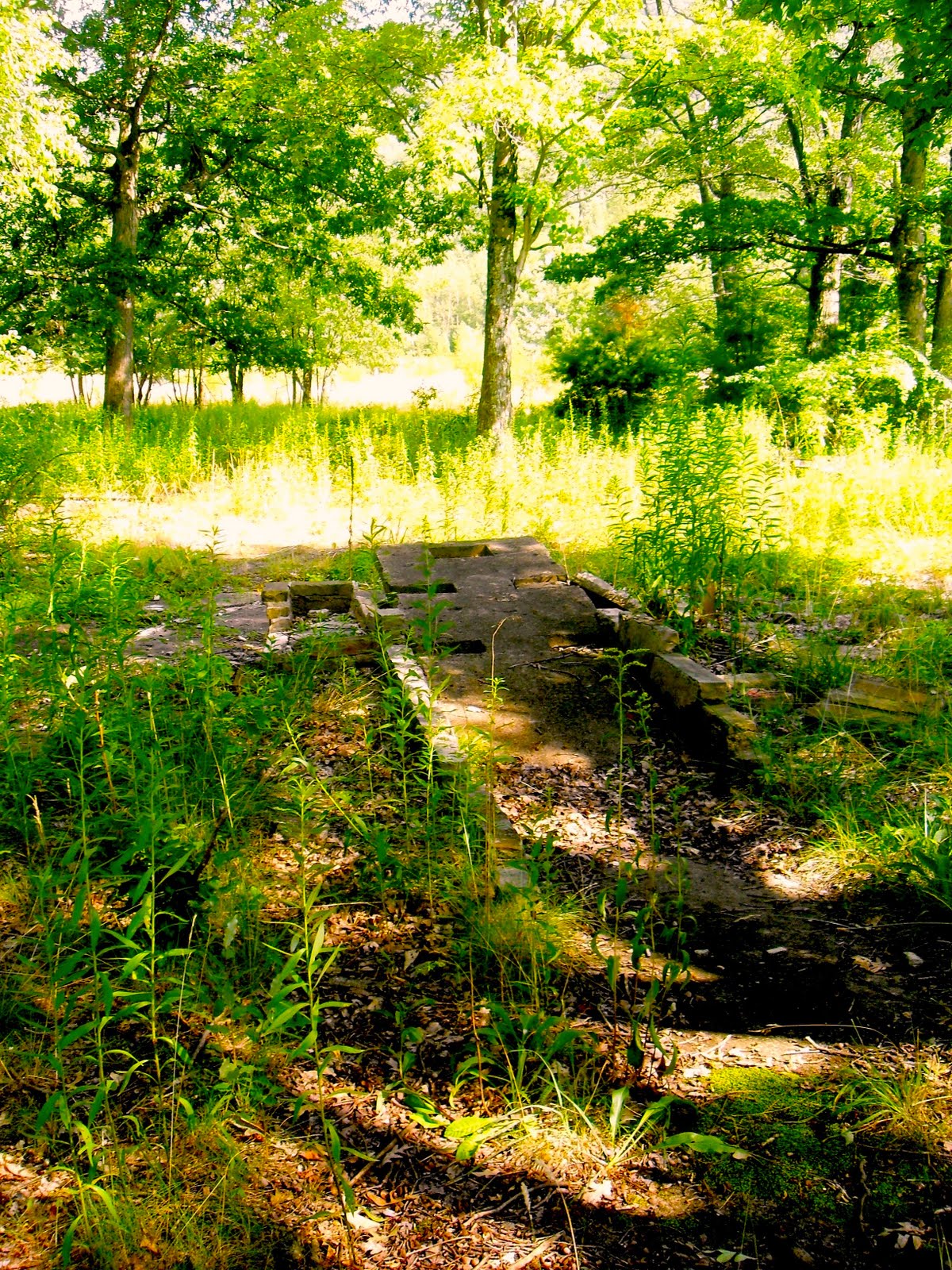 ART SKOOL DAMAGE : Christian Montone: Memento Mori: The Ghost Of Angela ...