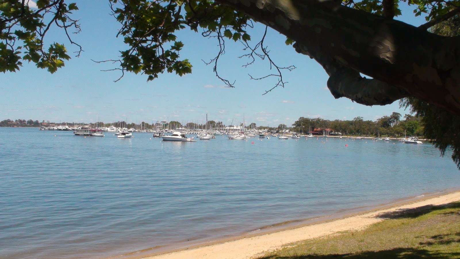 Simple Simon Says: Perth - Matilda Bay, Happy Anniversary