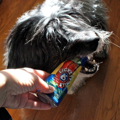 To Dog With Love: The Dos and Don'ts of Lickety Stick and Giveaway Winners!