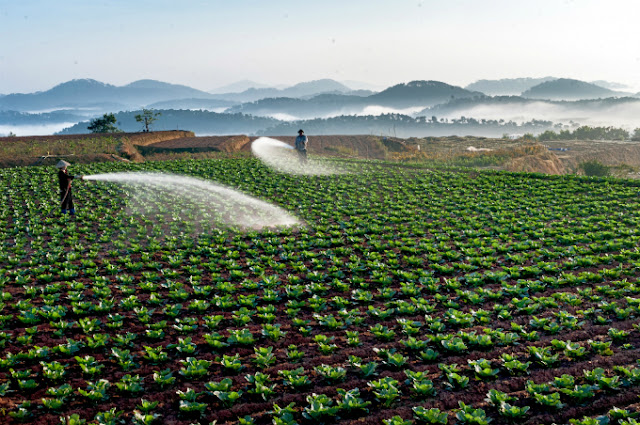 Rising stars: Vietnam’s Da Lat, Sa Pa named among best new destinations ...