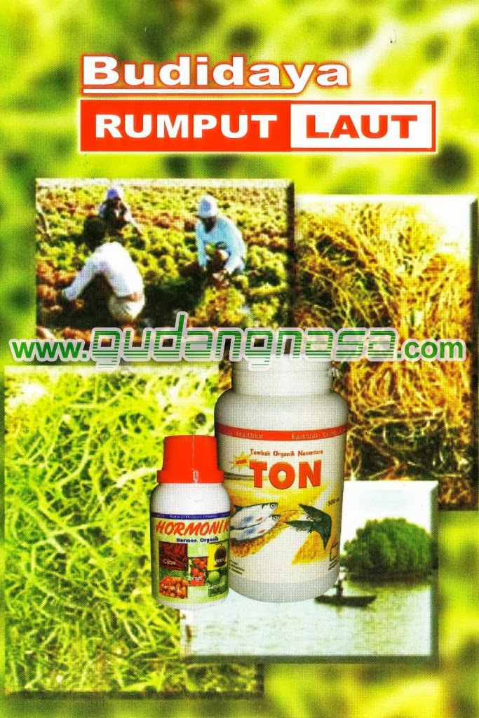 Budidaya rumput laut pdf reader - neptunblogn