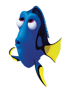 Net1: Find Dory
