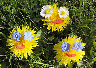 funny flowers : Free Funny photo