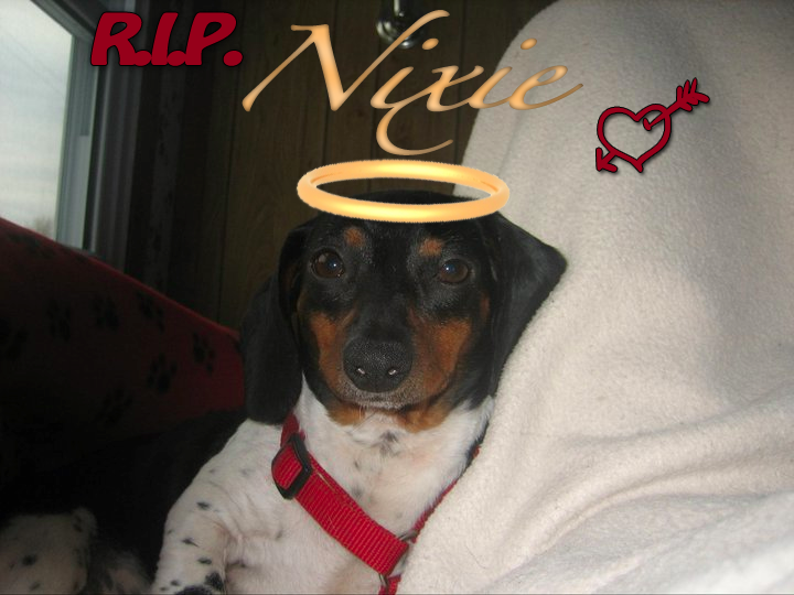 My Never-Ending Song