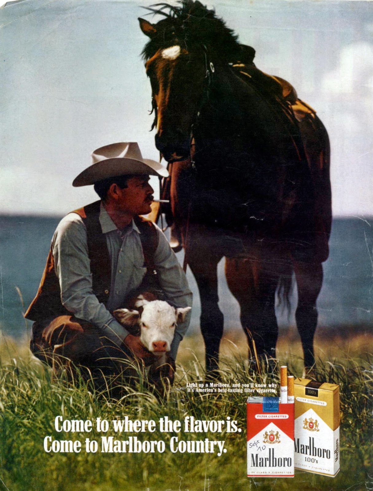 The Visual Primer of Advertising Cliches : Come to where the flavor is ...