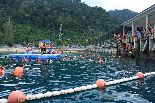 Fun N Delicious : Fun @ Tioman Island, Pahang