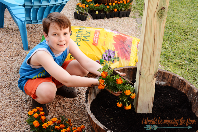 DIY Sturdy Planted Posts | i should be mopping the floor DIY Sturdy Planted Posts | i should be mopping the floor