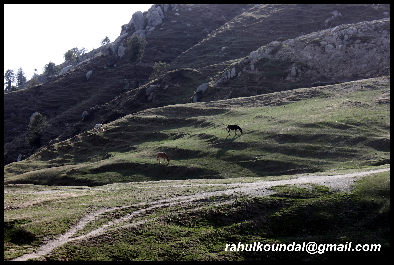 RAHUL KOUNDAL's PHOTOGRAPHY: Chamba Jot