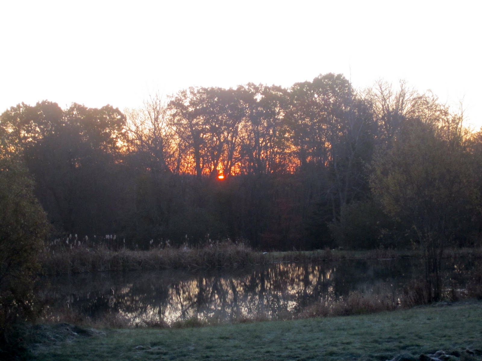 the sunrise blogger: november scenery