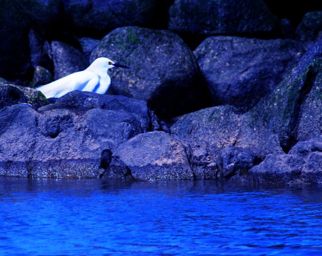 JUNTOS: PUNTA GORDA...Y UNA ETERNA POLEMICA