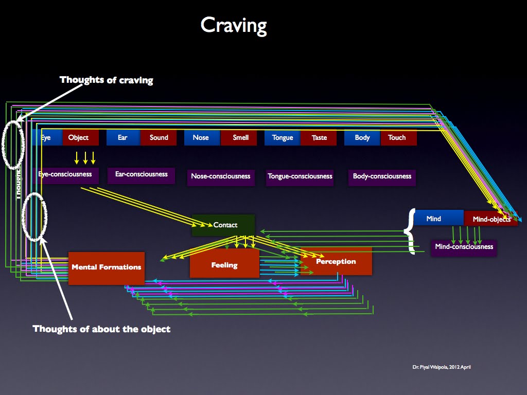 Wisdom through Mindfulness: Further investigation of the second Noble ...