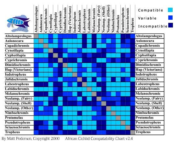 Fish Compatibility Chart - توافق الأسماك - Egy Reef