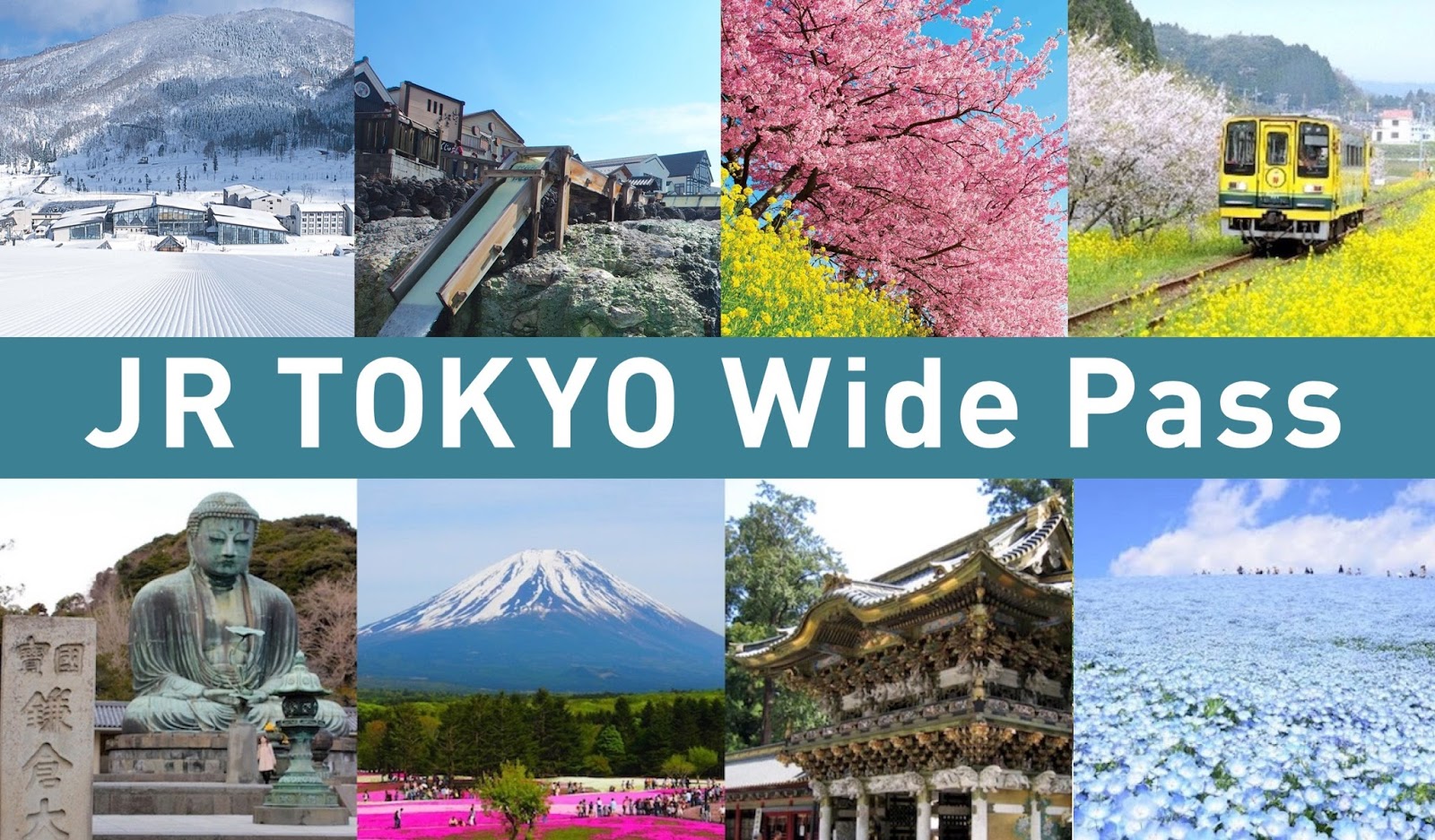 tokyo wide pass - Thai News Collections