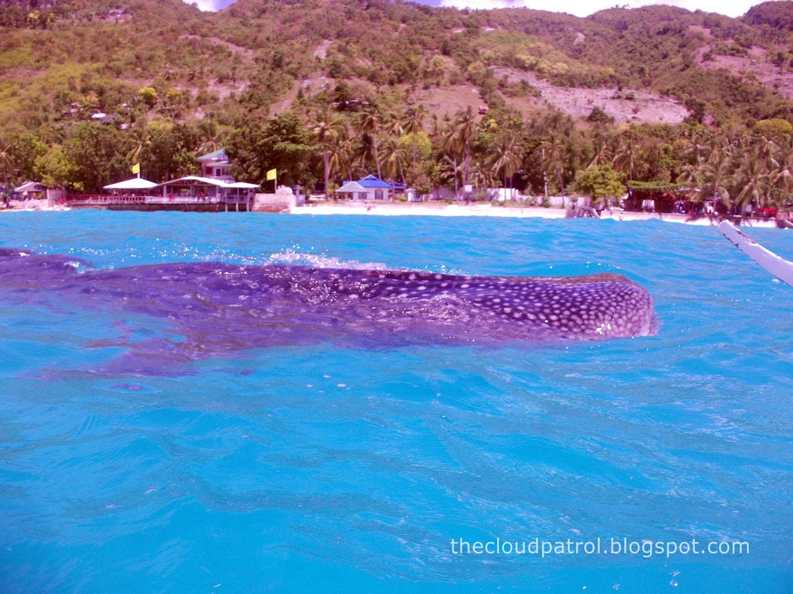 The Cloud Patrol: The Known Secrets of Oslob