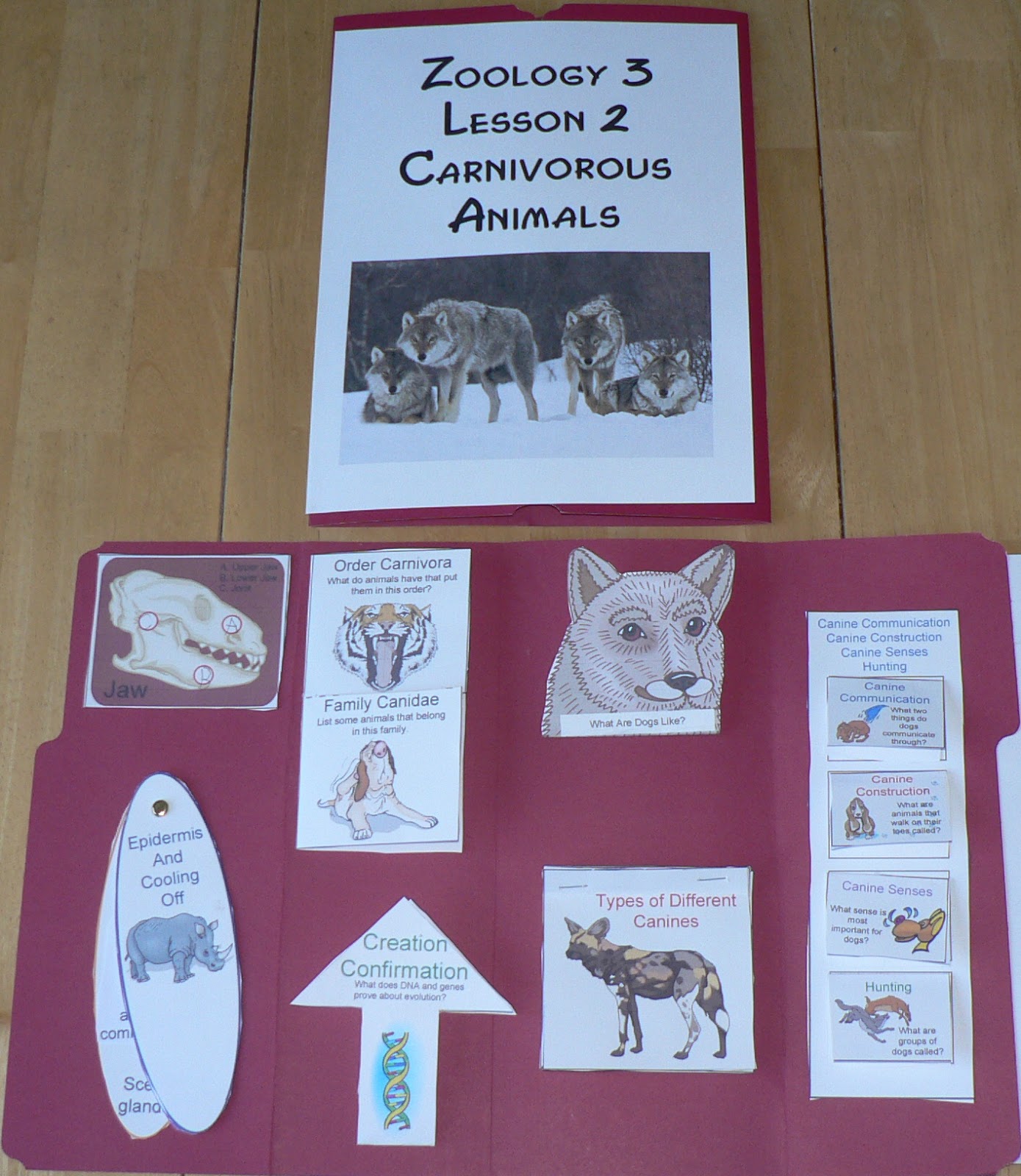 Walking by the Way: Our Zoo 3 Lapbooks by A Journey Through Learning