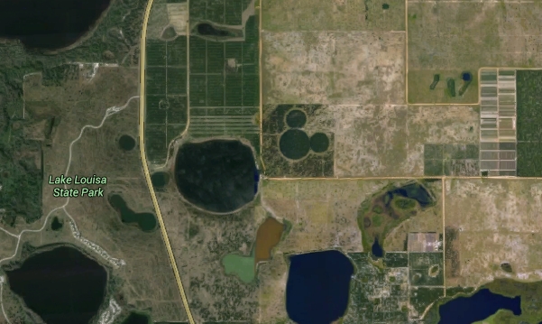 Growing Up Disney: BIG Hidden Mickey