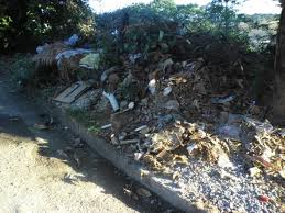 Frank e Sustentabilidade: DEFINIÇÃO DE GERENCIAMENTO DE ENTULHOS