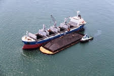 Biomass Industrial Innovative Projects: Container Still Become the Main ...