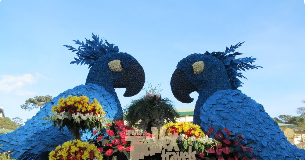2013 Panagbenga Float Parade - Travex Travels - Travel. Explore. Fun in PH