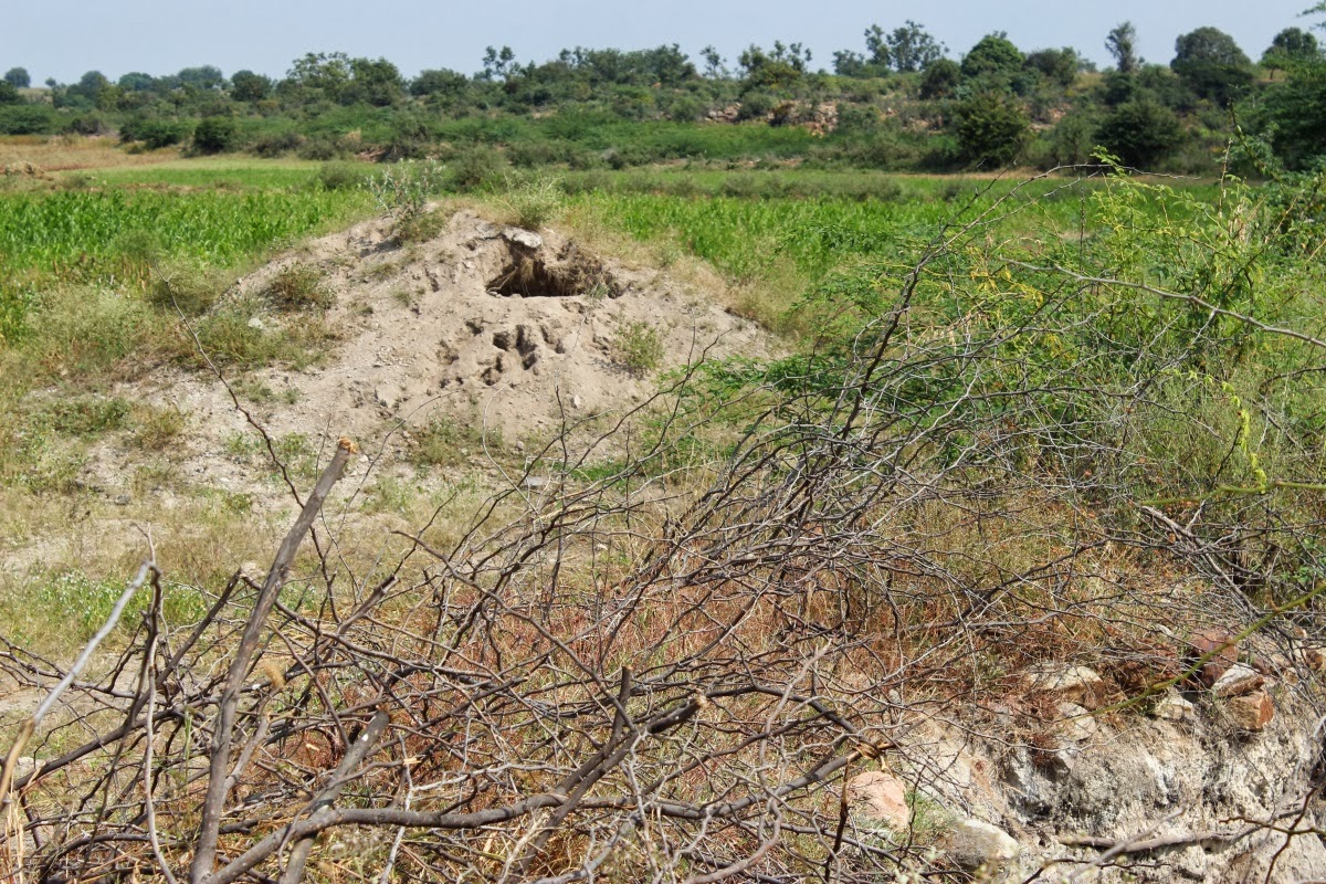 Journeys across Karnataka: Prehistoric Ash Mounds of Budihal