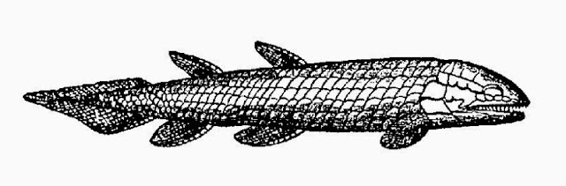 History of the Earth: Paleozoic Vertebrates compilation