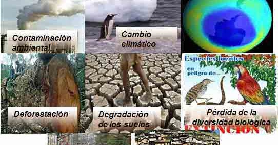 QUINTO B ALUNADA: 6º. SOCIALES, UD 5: EL IMPACTO HUMANO EN EL MEDIO ...