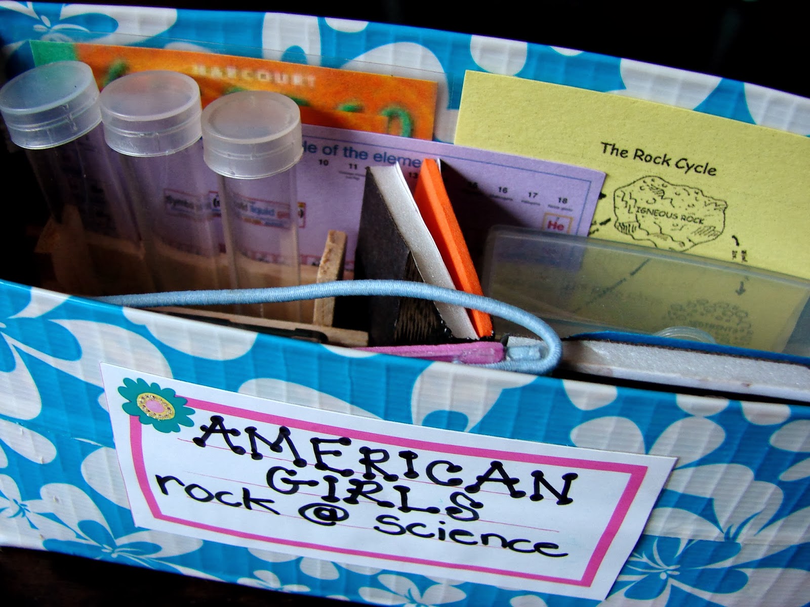 American Girl Doll Play: Doll Craft: Make Your Dolls a Science Set