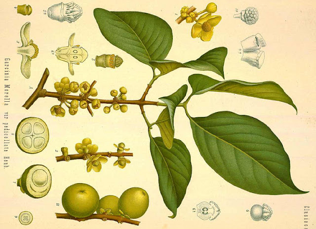 Email This BlogThis! Share to Twitter Share to Facebook Share to Pinterest