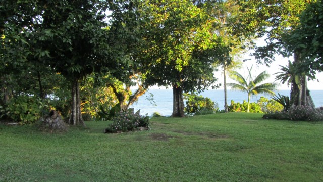 Flora and Fauna of To Sua Gardens, Falealili, Samoa