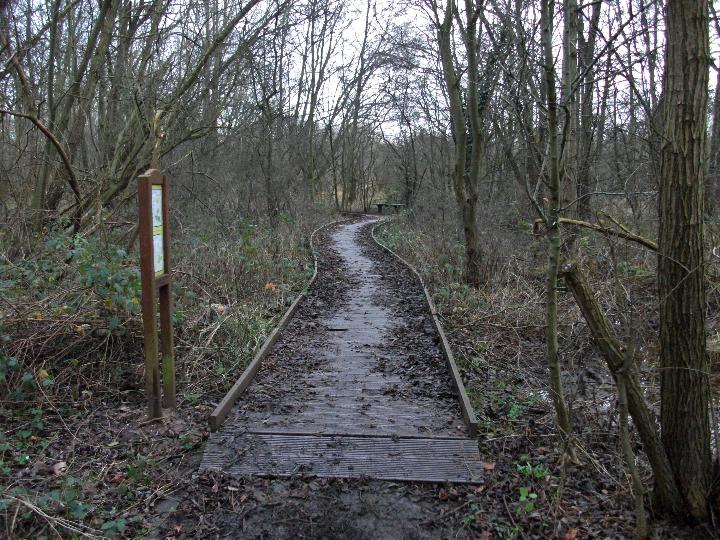 Vinnyman's Birding and Nature Blog.: Plantsbrook Nature Reserve.