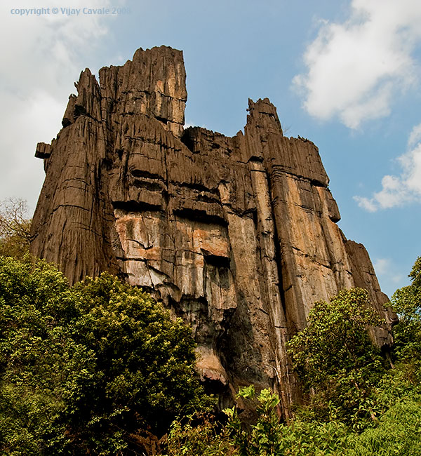 Journey of Joy: North Karnataka - Sirsi