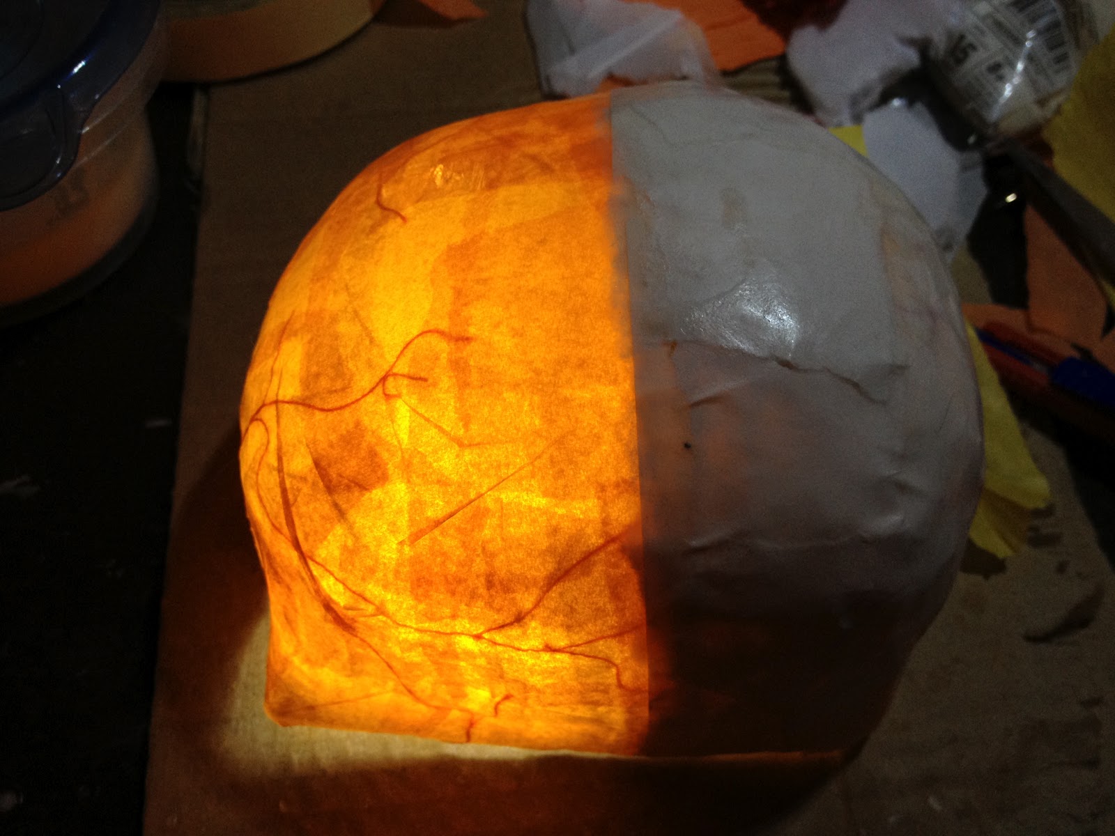 Anatamation: where Anatomy meets Animation: Paper Mache Eye
