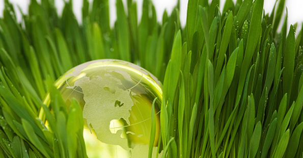 Medio ambiente limpio - Imagui